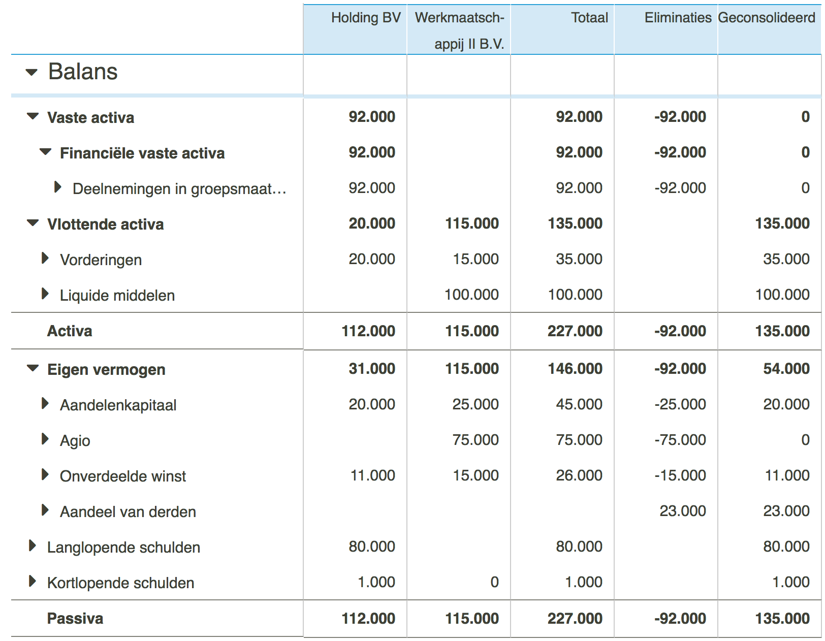 Consolidatie met aandeel derden